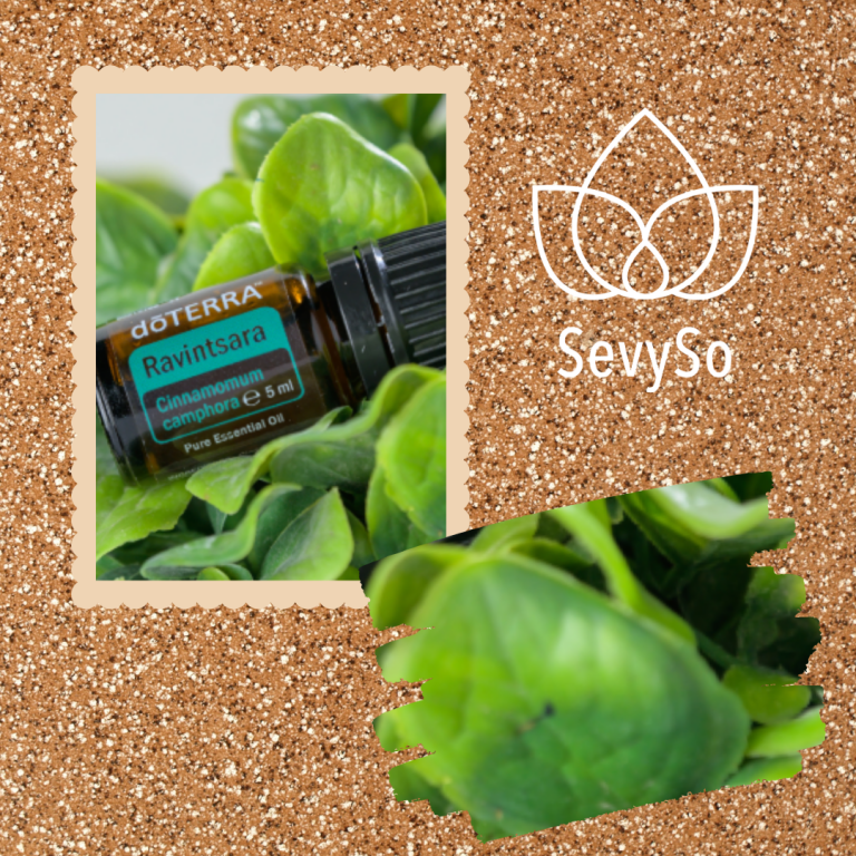 RAVINTSARA - SevySo - Huiles essentielles - dōTERRA